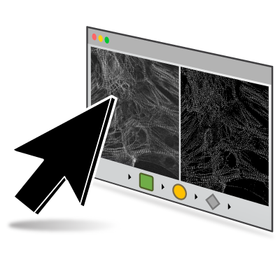 Integrated Mitotic Stem Cell